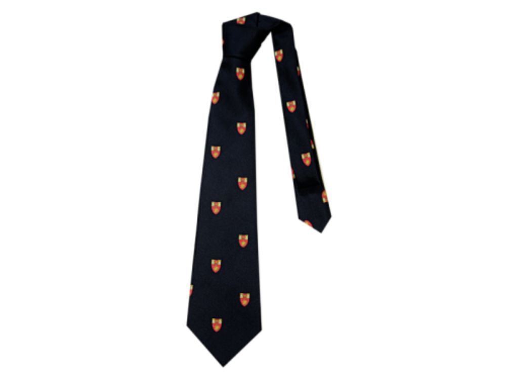 CAMPION 6TH FORM TIE - Havering Schoolwear London Ltd